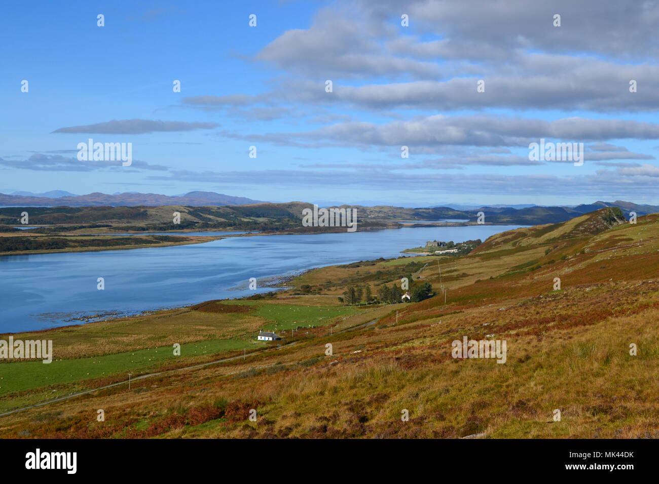 Sween hi-res stock photography and images - Alamy