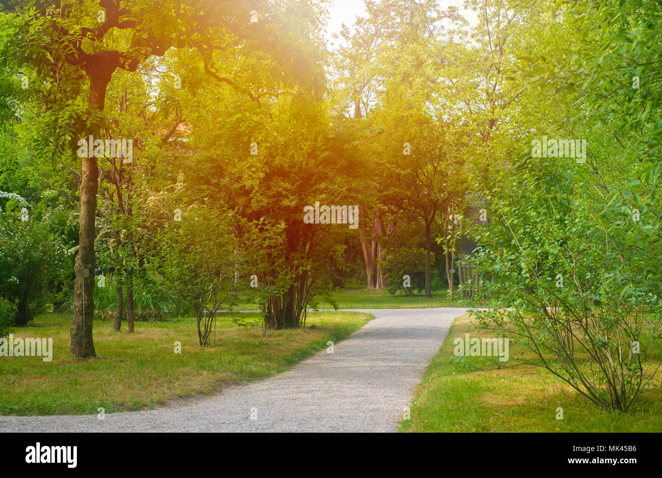 Spring Nature. Beautiful Landscape. Green Grass and Trees Stock Photo ...