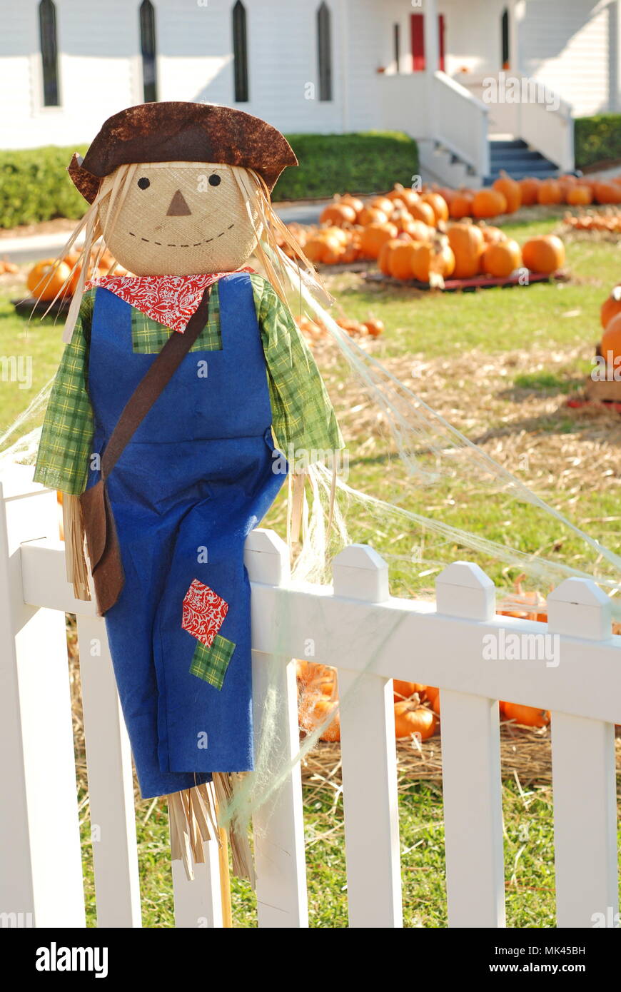 Pumpkin patch entrance hi-res stock photography and images - Alamy