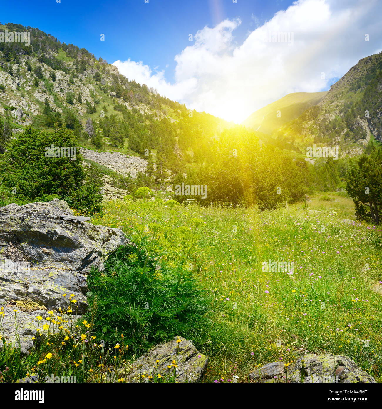 Pyrenees mountains night sky hi-res stock photography and images - Alamy