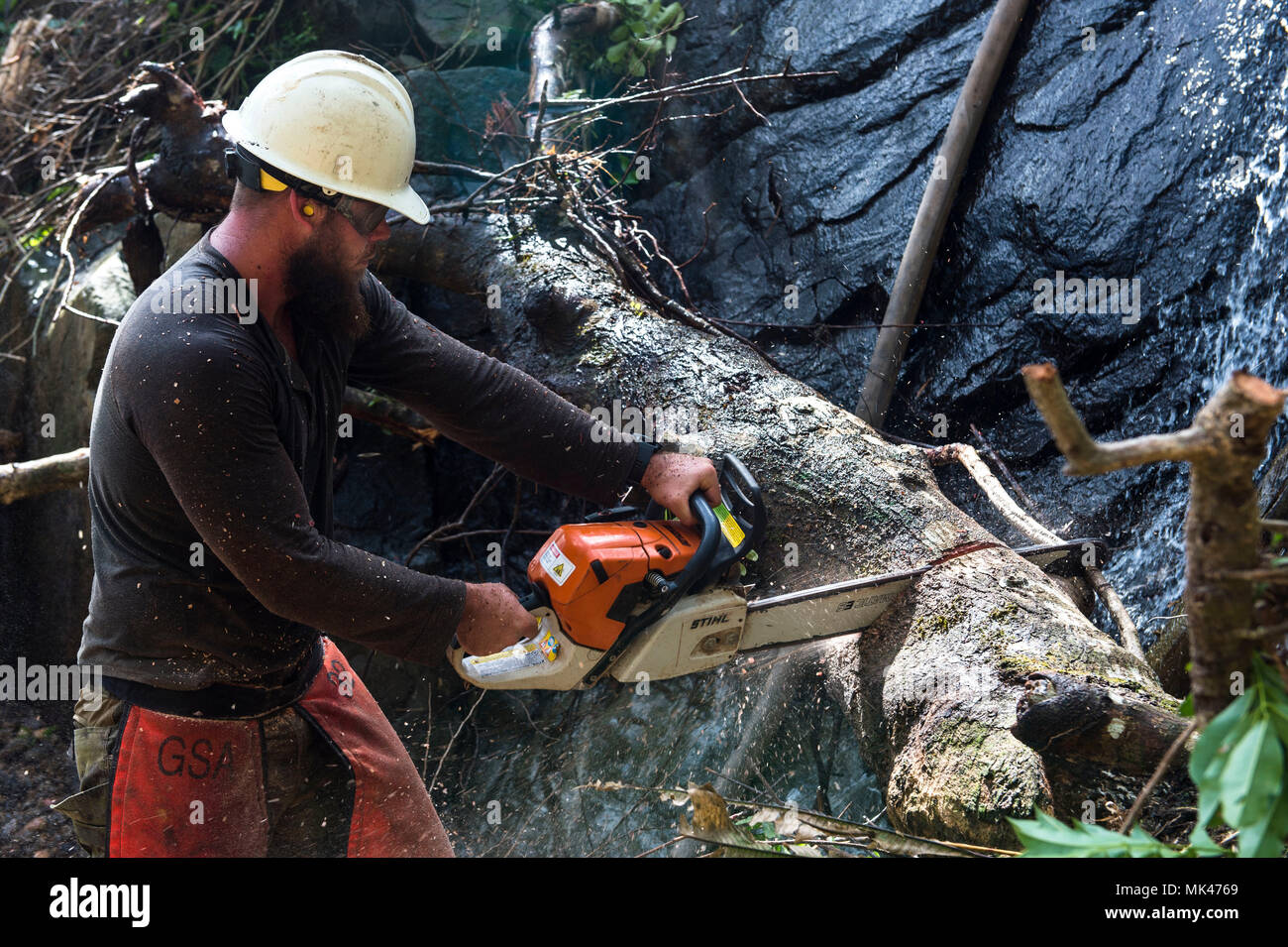 National forest service clears hi-res stock photography and images - Alamy