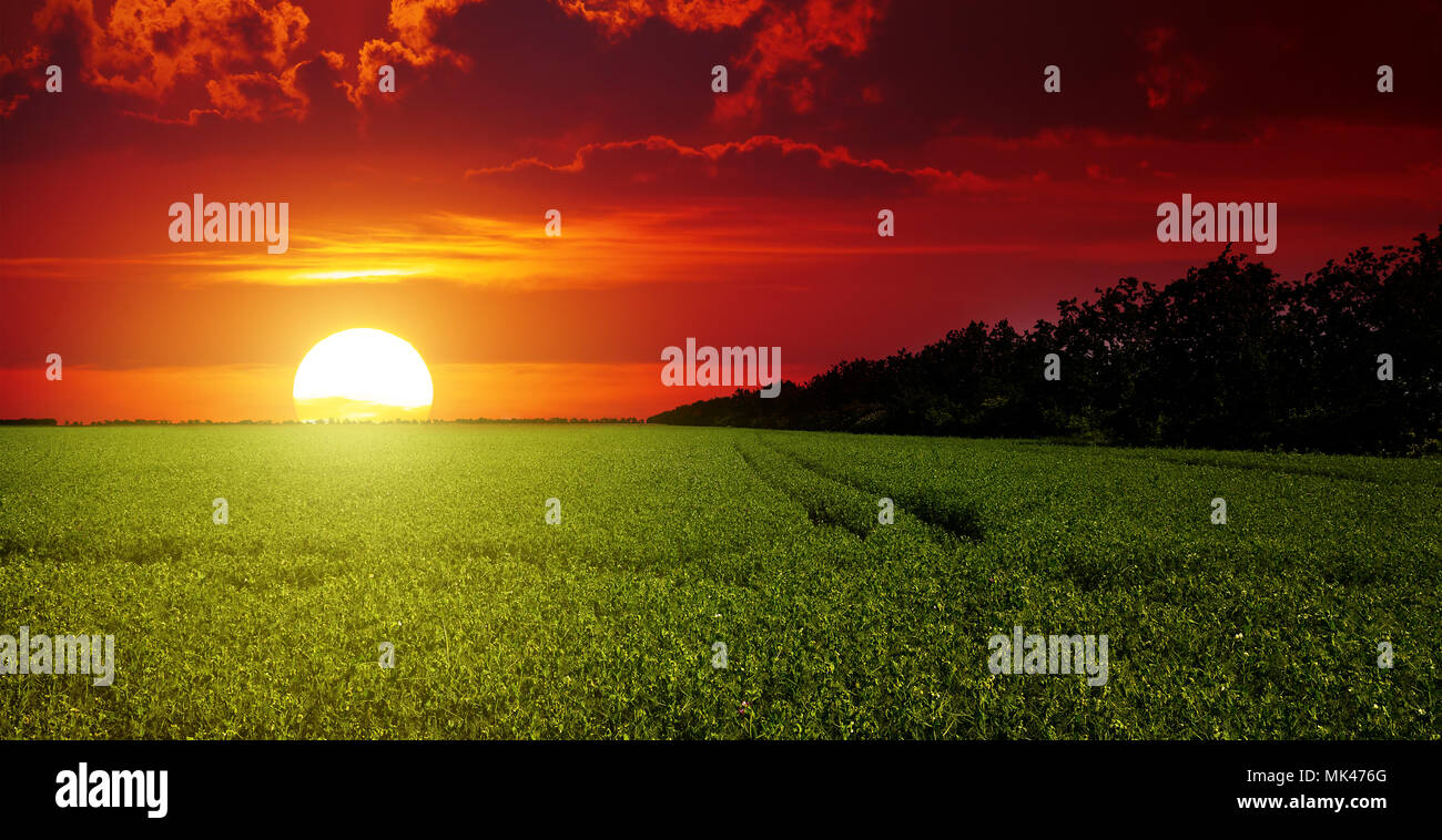 Bright scenic hi-res stock photography and images - Alamy