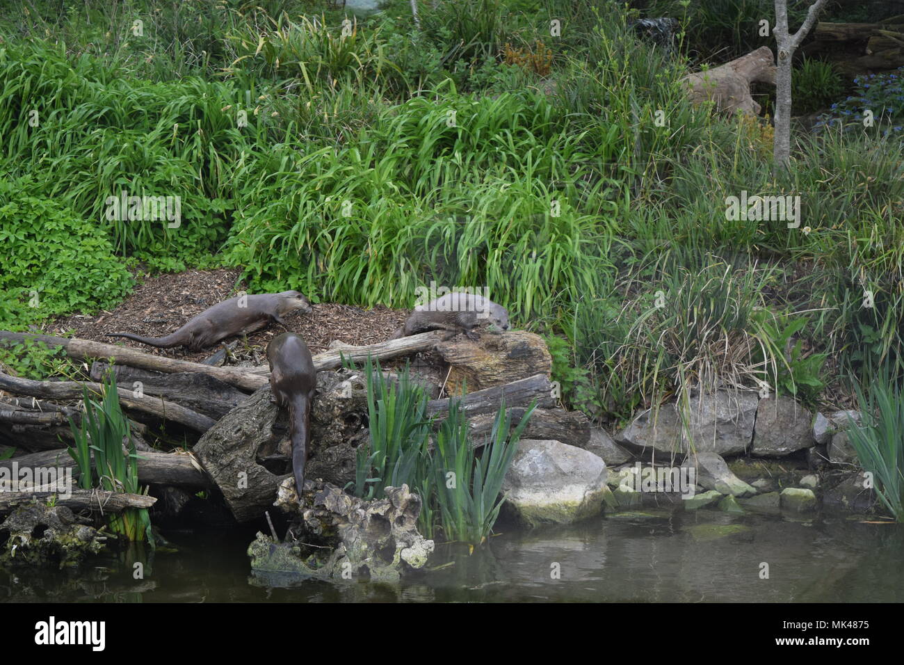 Back side of water hi-res stock photography and images - Alamy