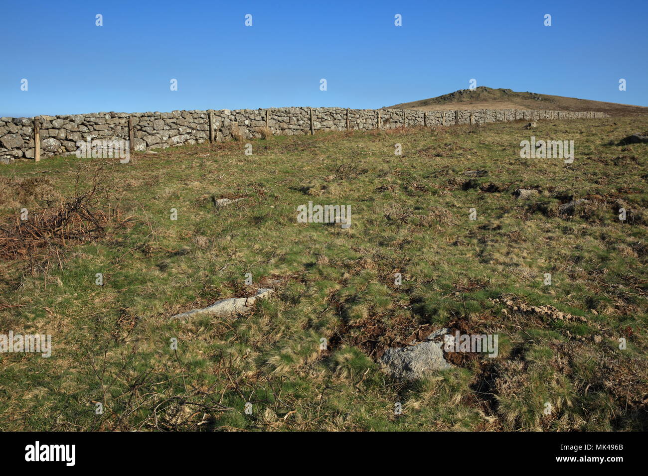 View towards Rippon tor, Dartmoor National park, Devon, England, UK ...