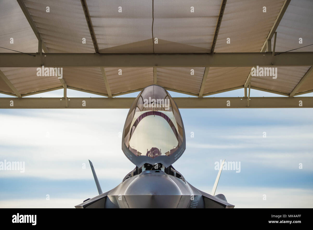 Brig. Gen. Brook Leonard, 56th Fighter Wing commander, straps himself ...