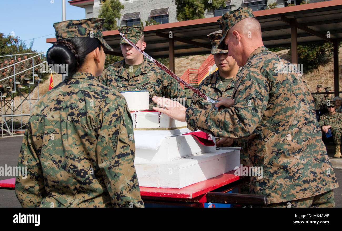 Col. Jeffrey C. Holt, commanding officer, School of Infantry - West ...