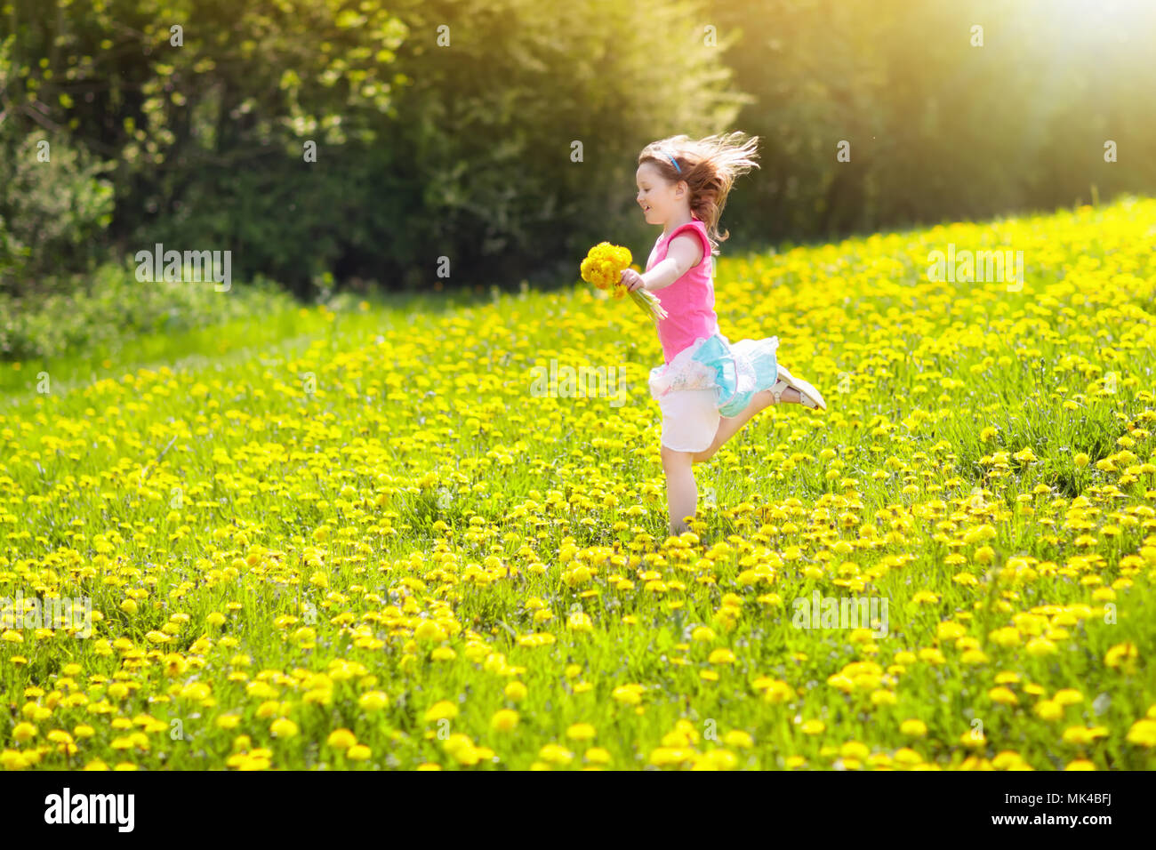 Kids play in yellow dandelion field. Child picking summer flowers ...