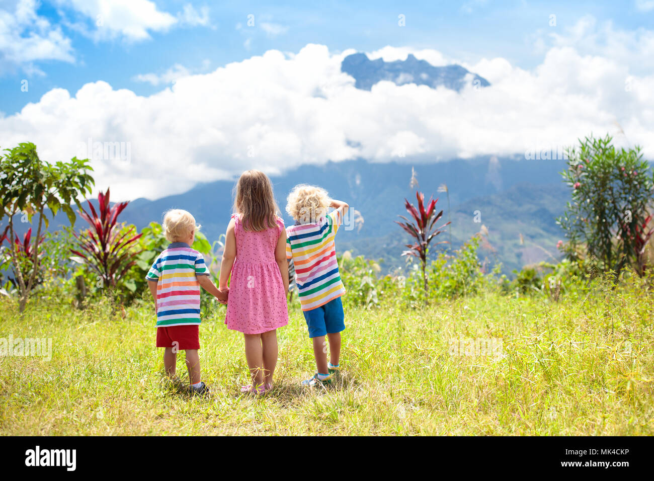 Child hiking in mountains. Kids trekking in Borneo jungle. Little girl ...