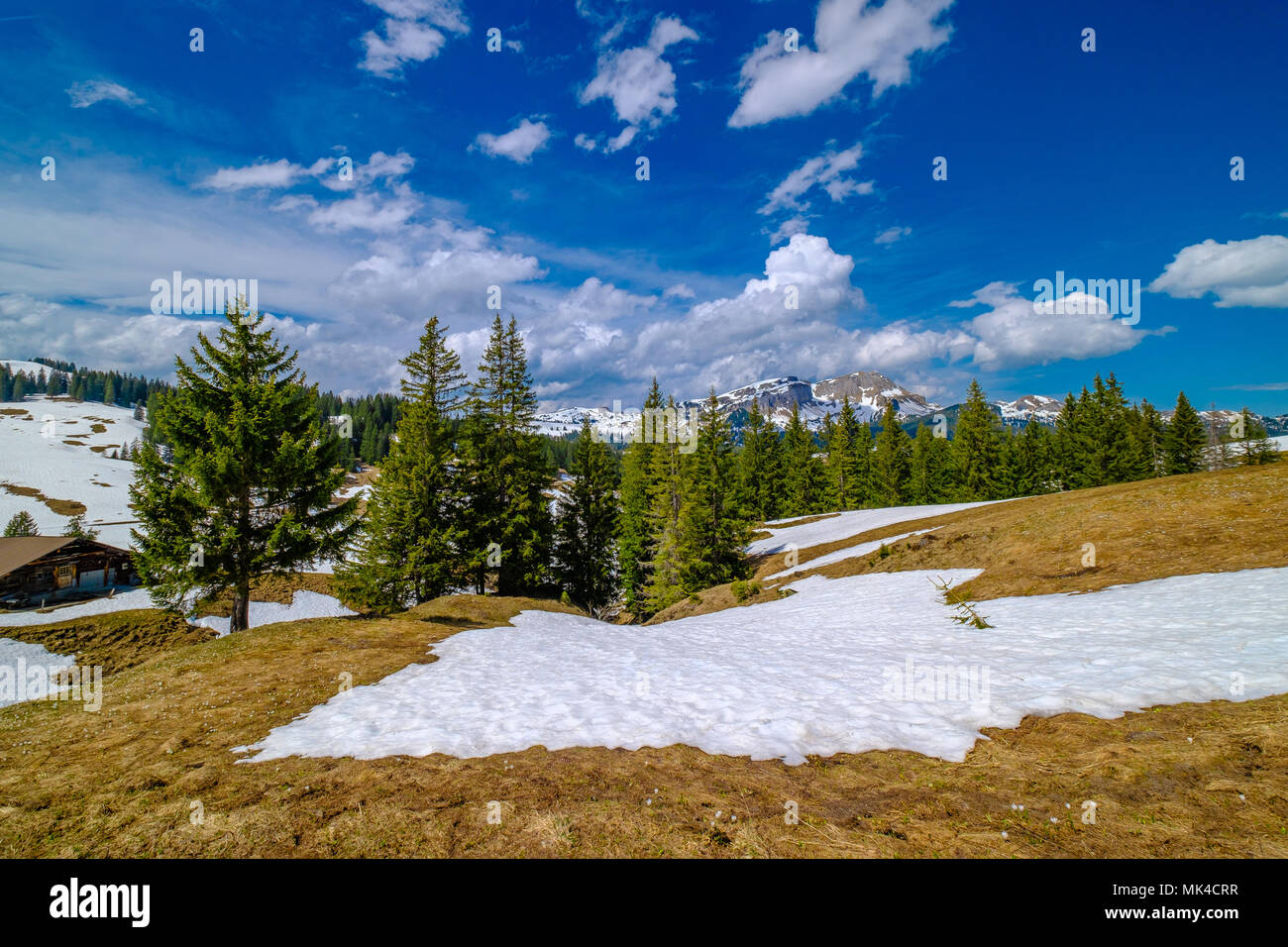 Beautiful mountains in swiss alps hi-res stock photography and images ...