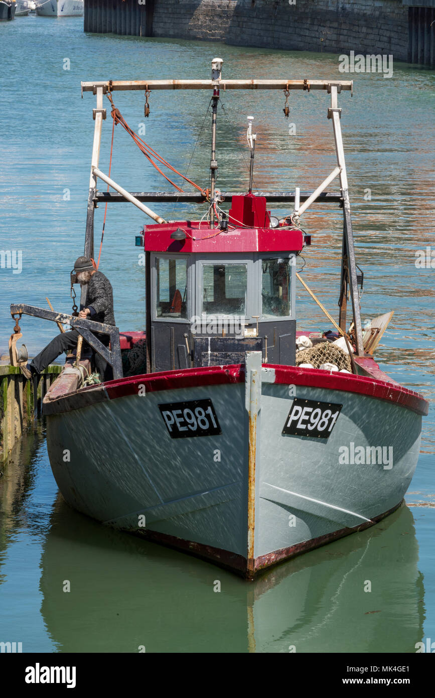 Inshore fish species hi-res stock photography and images - Alamy