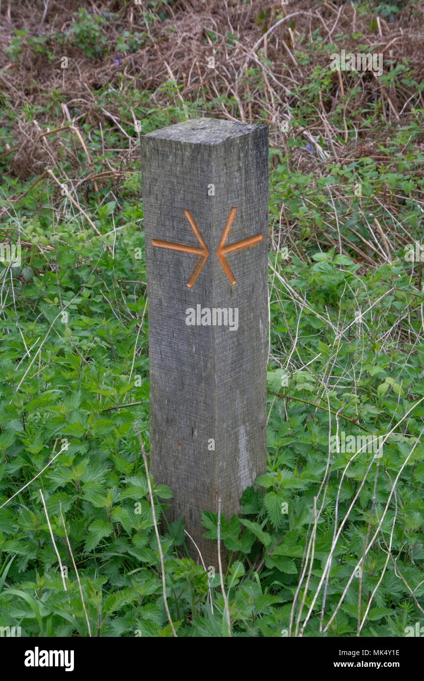 Wooden marker post with arrows hi-res stock photography and images - Alamy