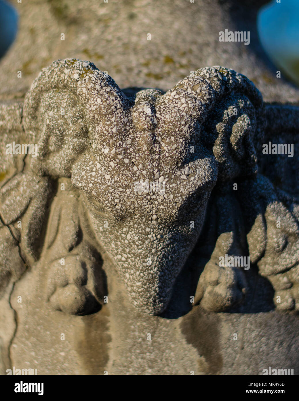 Ram horns hi-res stock photography and images - Alamy