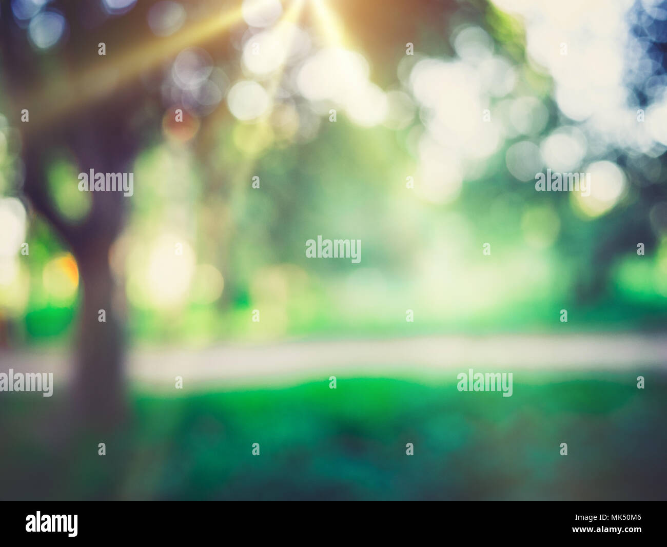 Summer morning background Stock Photo - Alamy
