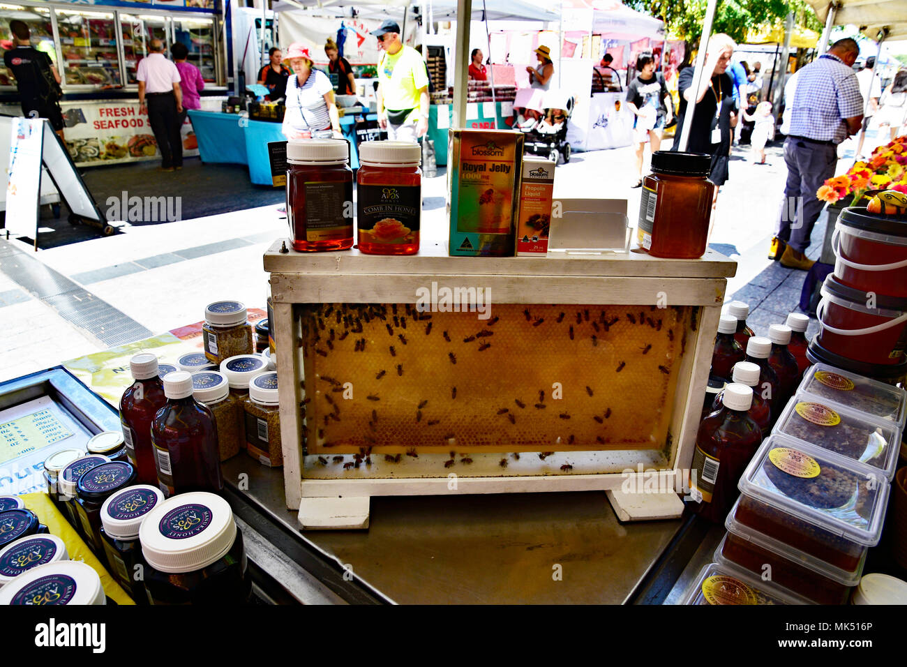 GLASS BEE HIVE AT A MARKET Stock Photo - Alamy