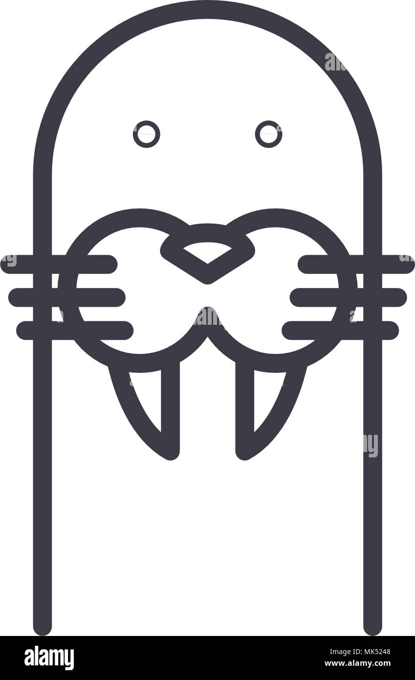 cute seal head vector line icon, sign, illustration on background ...