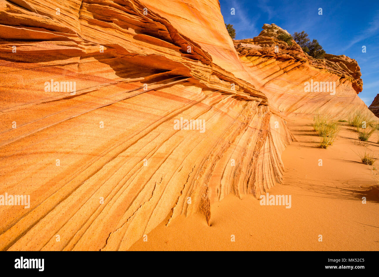 Gold Sand In Arizona