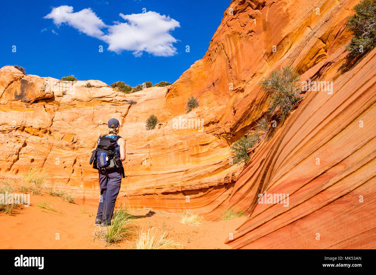 Vermilion cliffs national monument hi-res stock photography and images ...