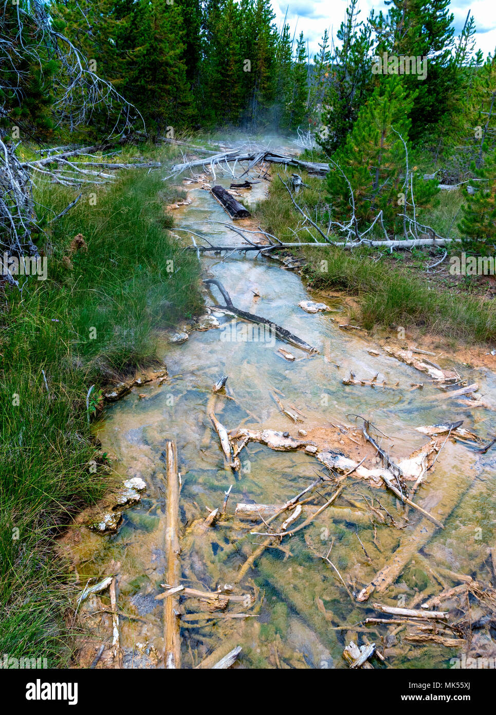 Ecology ecological hi-res stock photography and images - Alamy