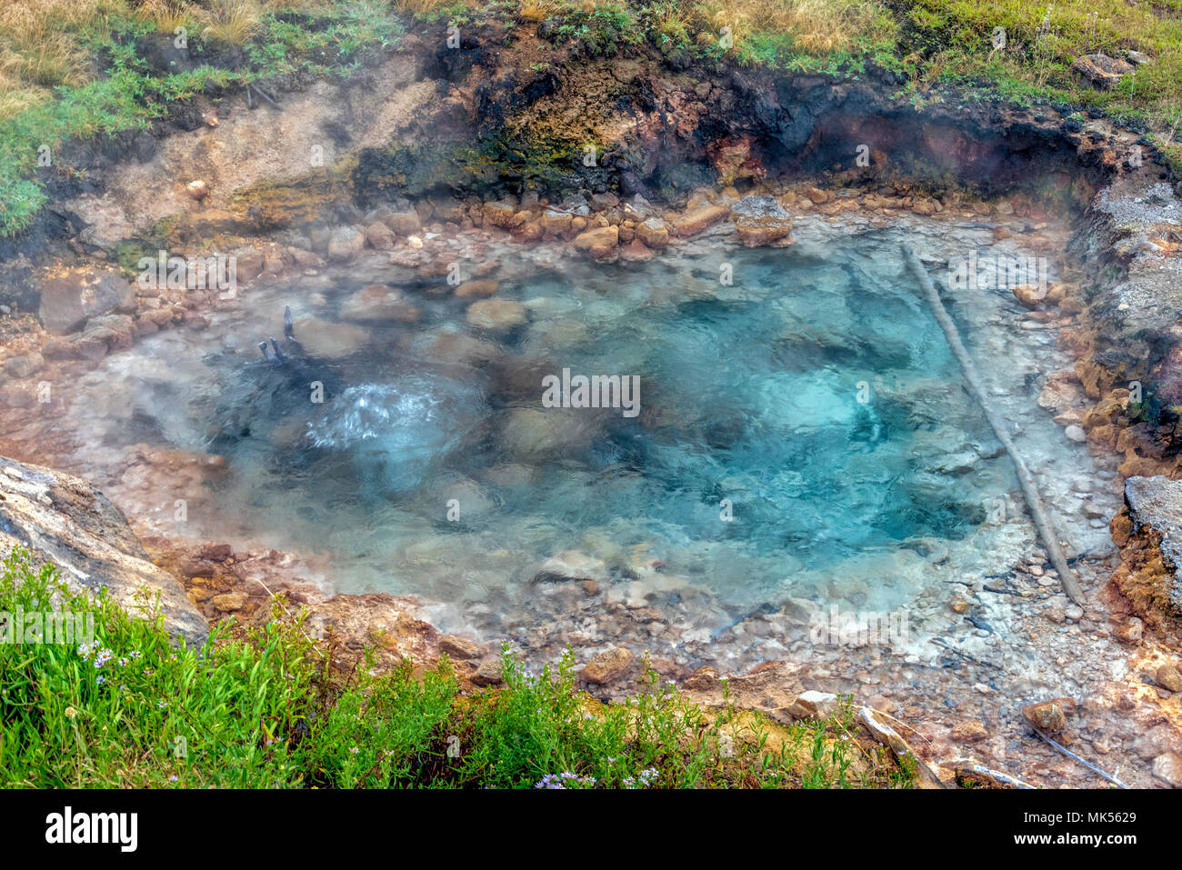 Bubbling hot spring with deep blue color in field with green grass ...