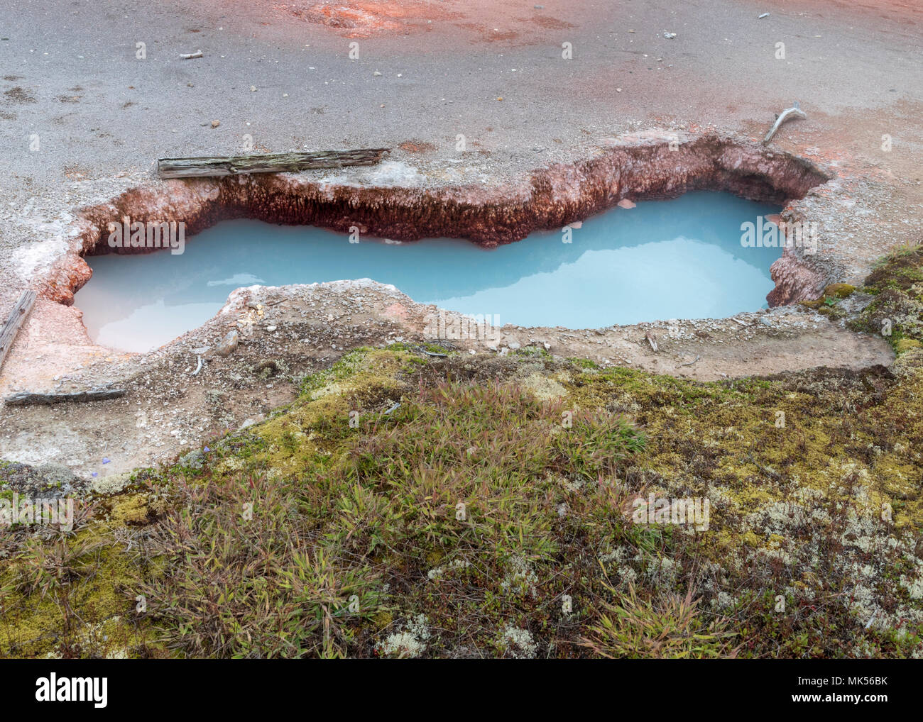 Hot spring reflecting the blue sky surrounded by rocks mud and green ...