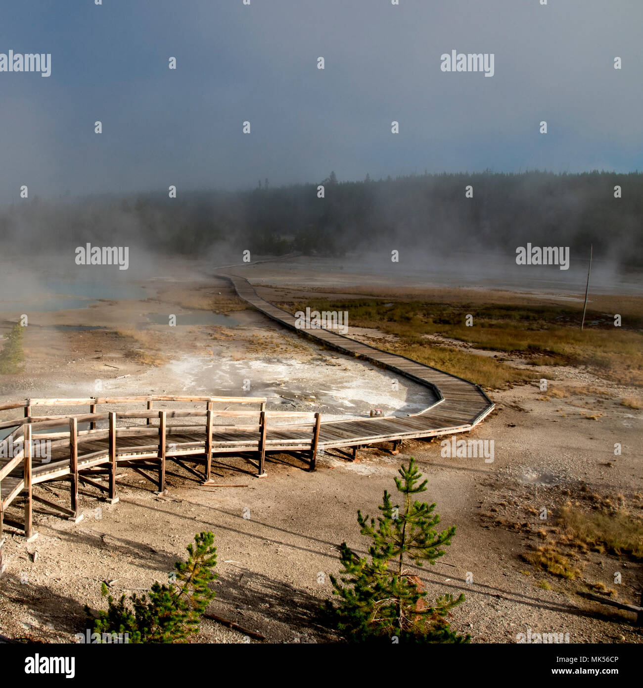 Wooden walkway winding through geothermal pools of hot water with steam ...