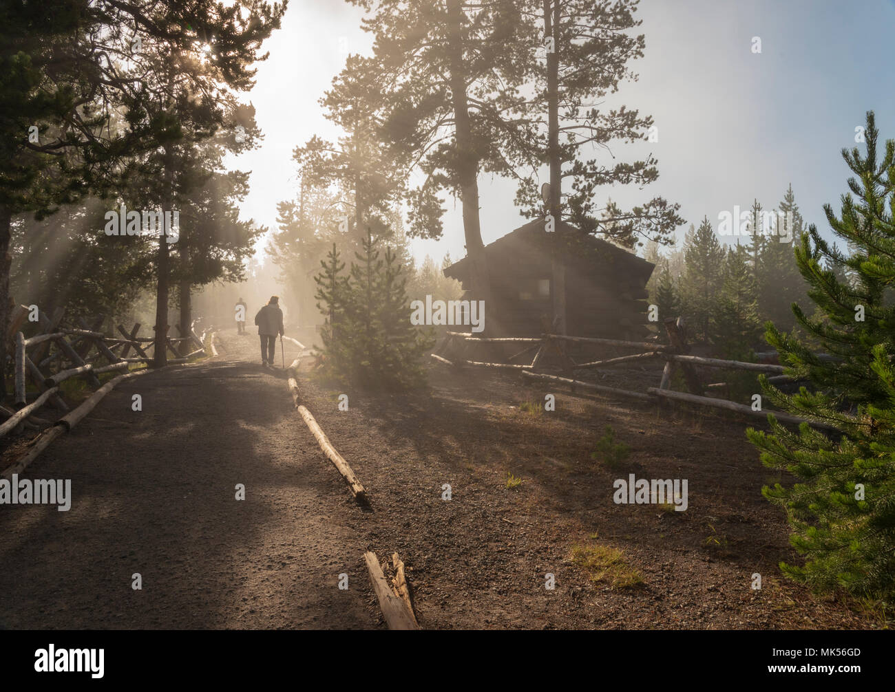 Walking up a dirt path early in the morning with sunlight shinning ...