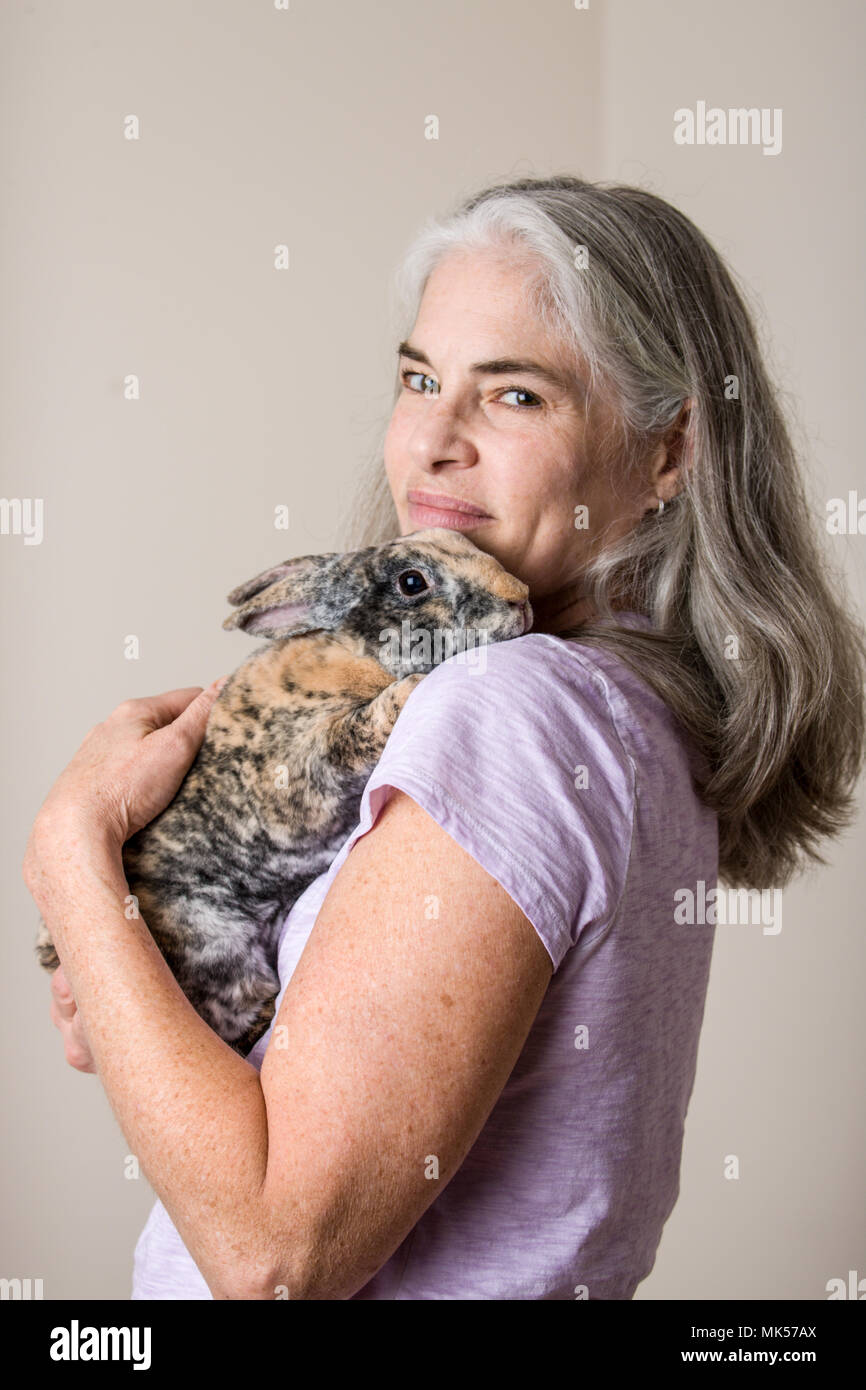 Harlequin Mini Rex pet rabbit being held and cuddled by a woman. (MR ...