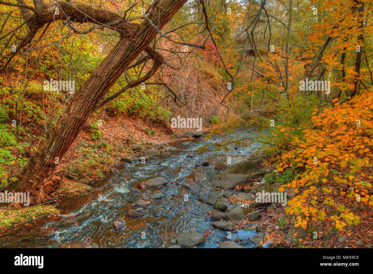 Congdon park hi-res stock photography and images - Alamy