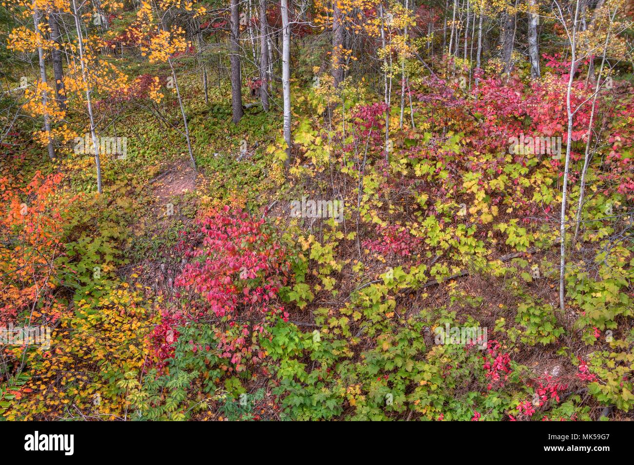 Congdon park hi-res stock photography and images - Alamy