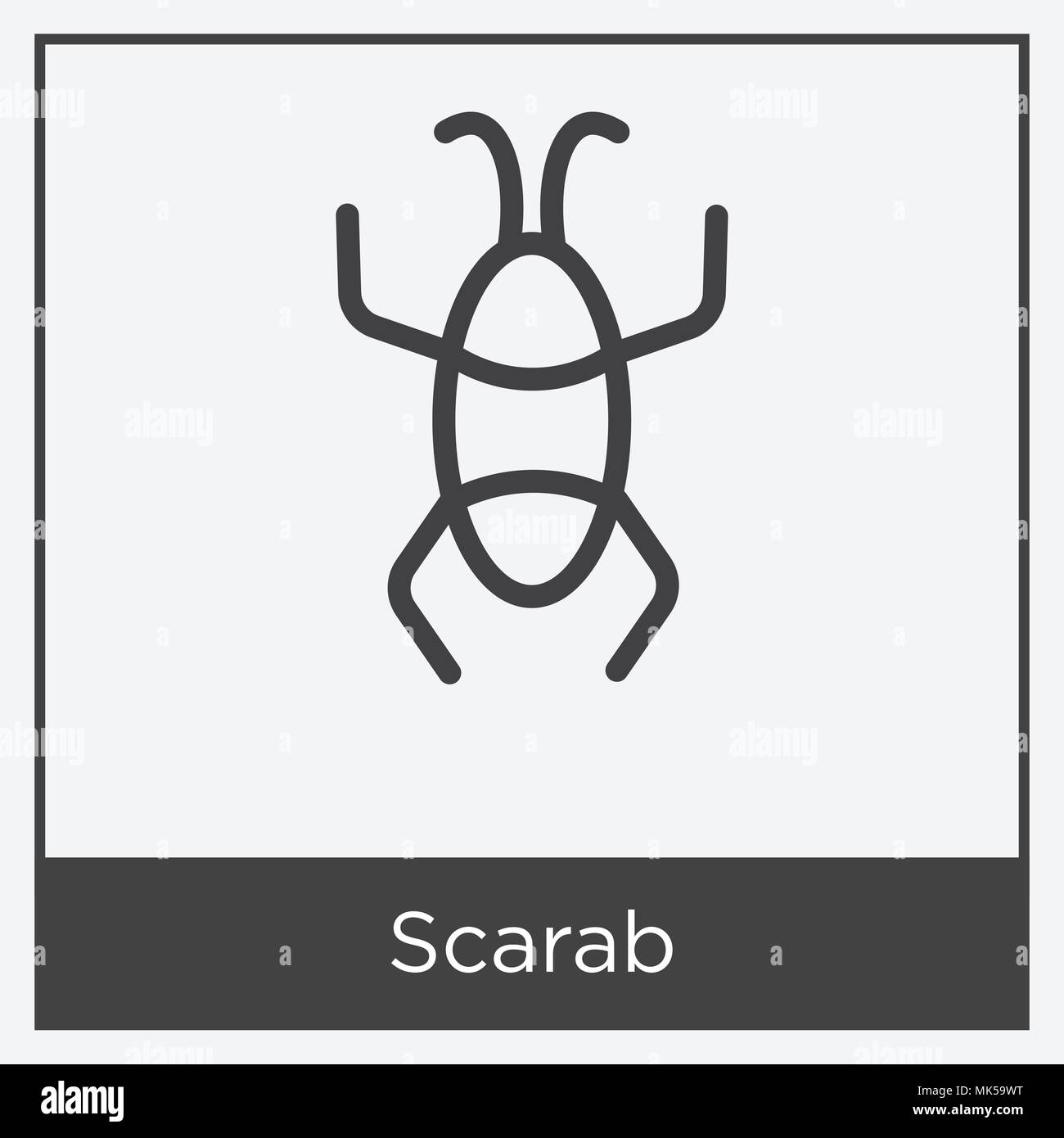 Scarab icon isolated on white background with gray frame, sign and ...