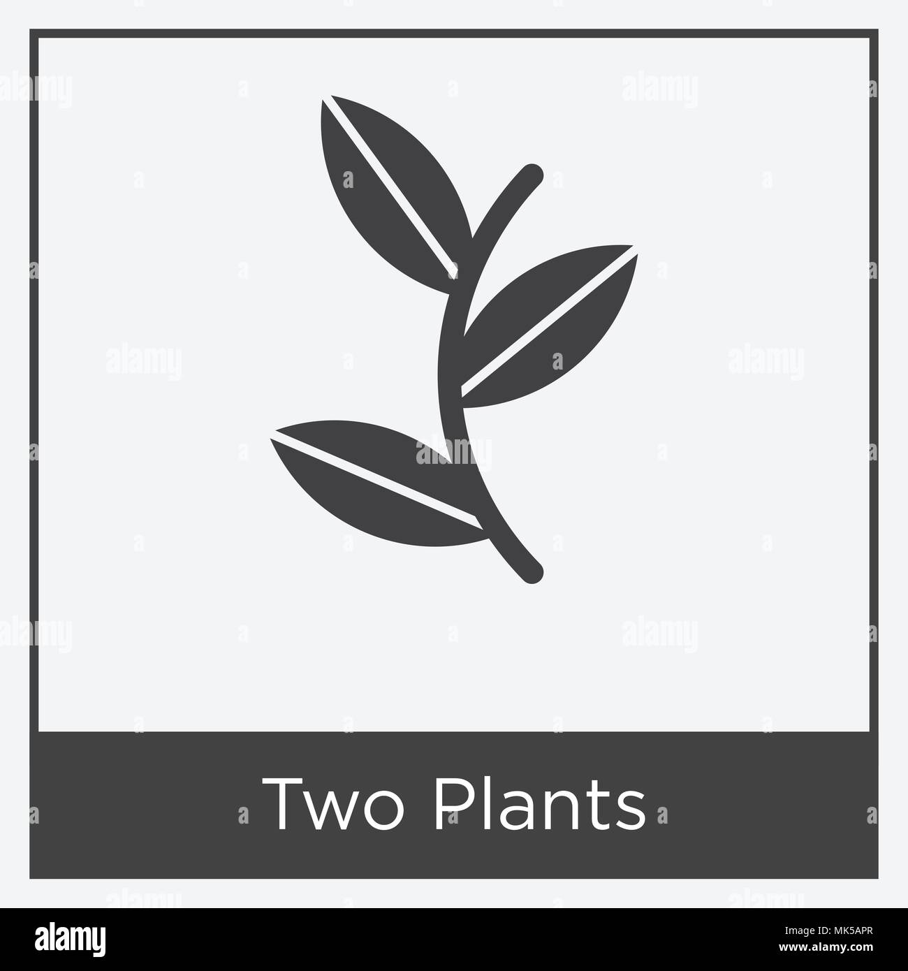 Two Plants icon isolated on white background with gray frame, sign and ...