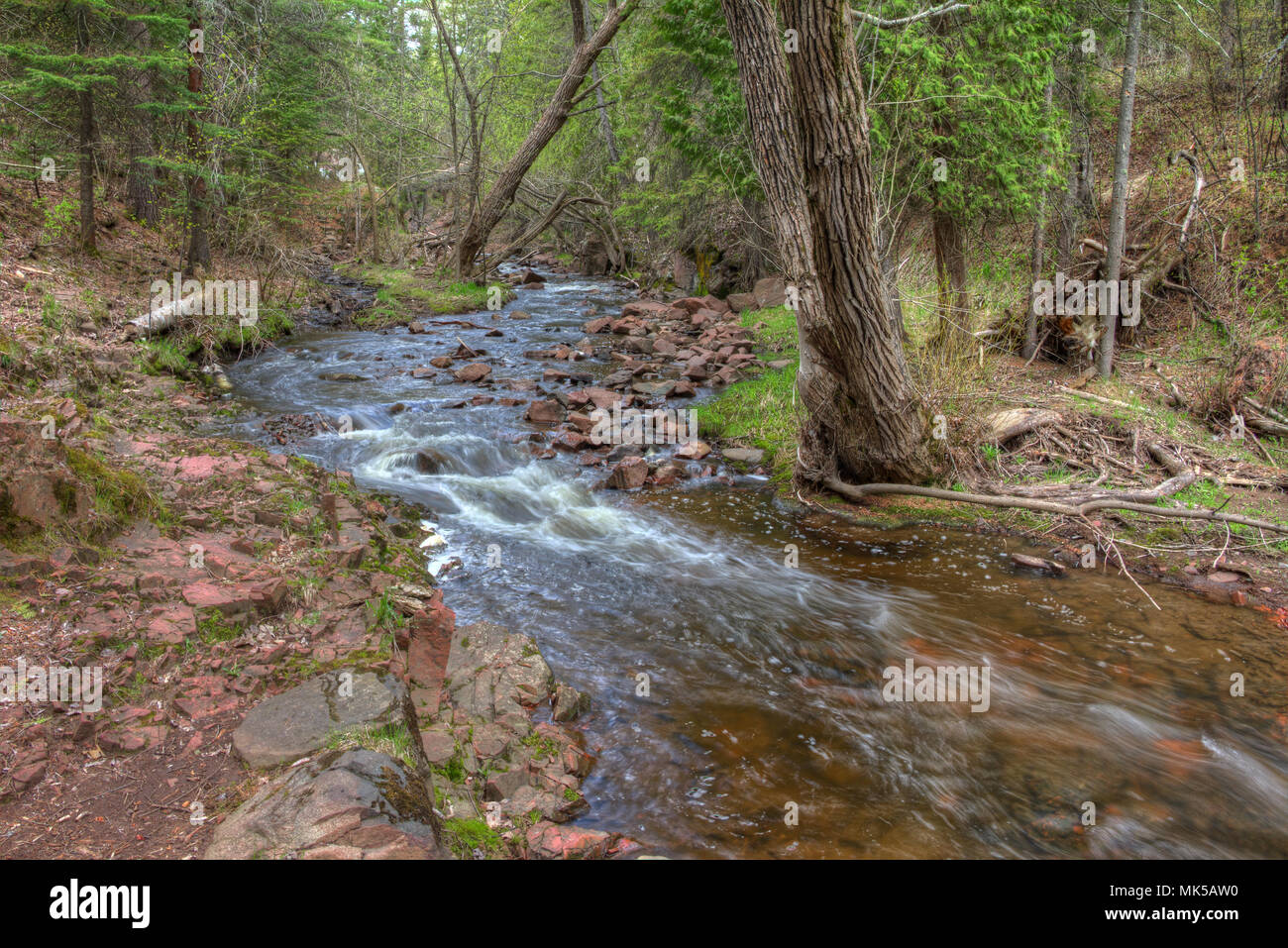 Congdon park hi-res stock photography and images - Alamy