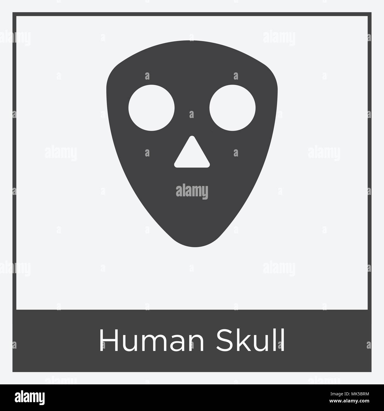 Human Skull icon isolated on white background with gray frame, sign and ...
