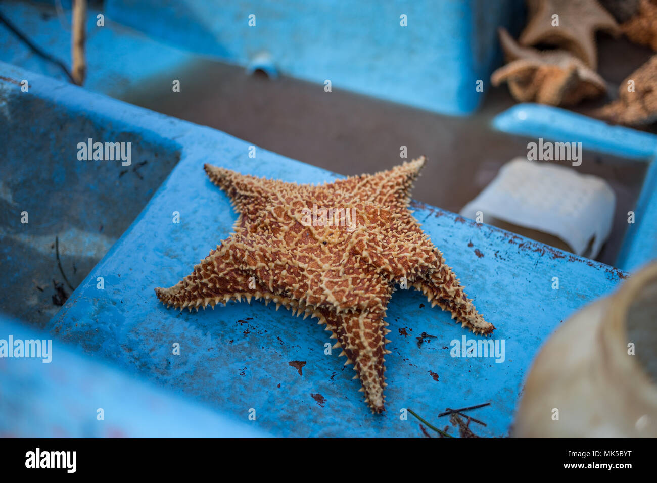 Underwater boat fish fishing boat hi-res stock photography and images ...