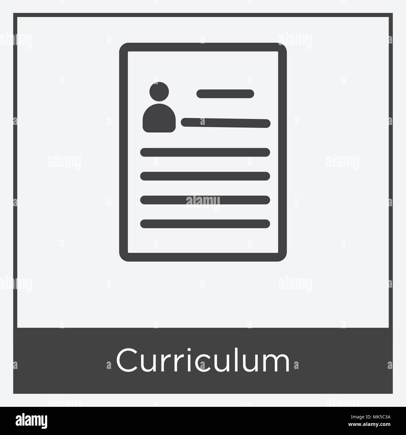 Curriculum icon isolated on white background with gray frame, sign and ...