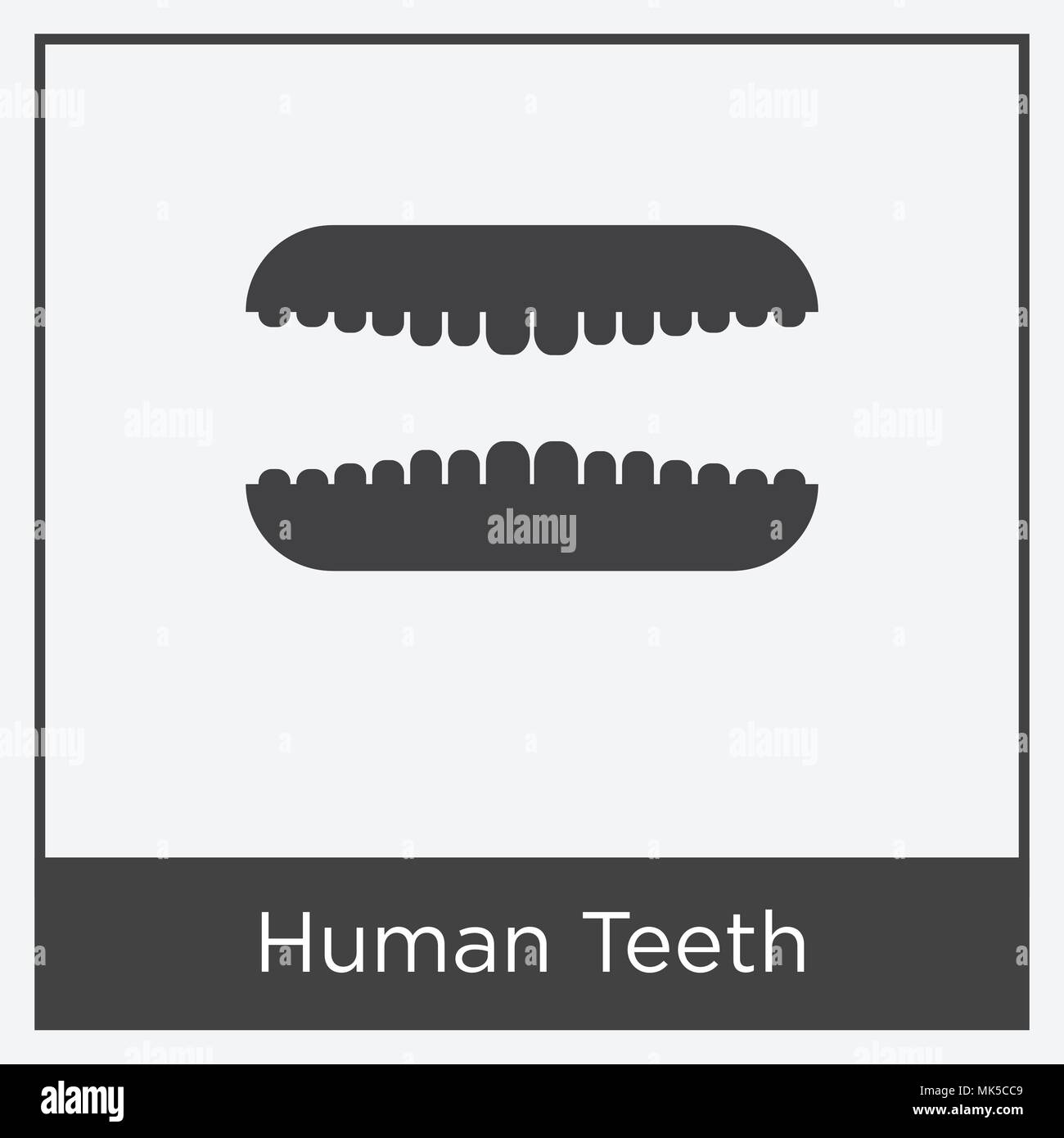 Human Teeth icon isolated on white background with gray frame, sign and ...