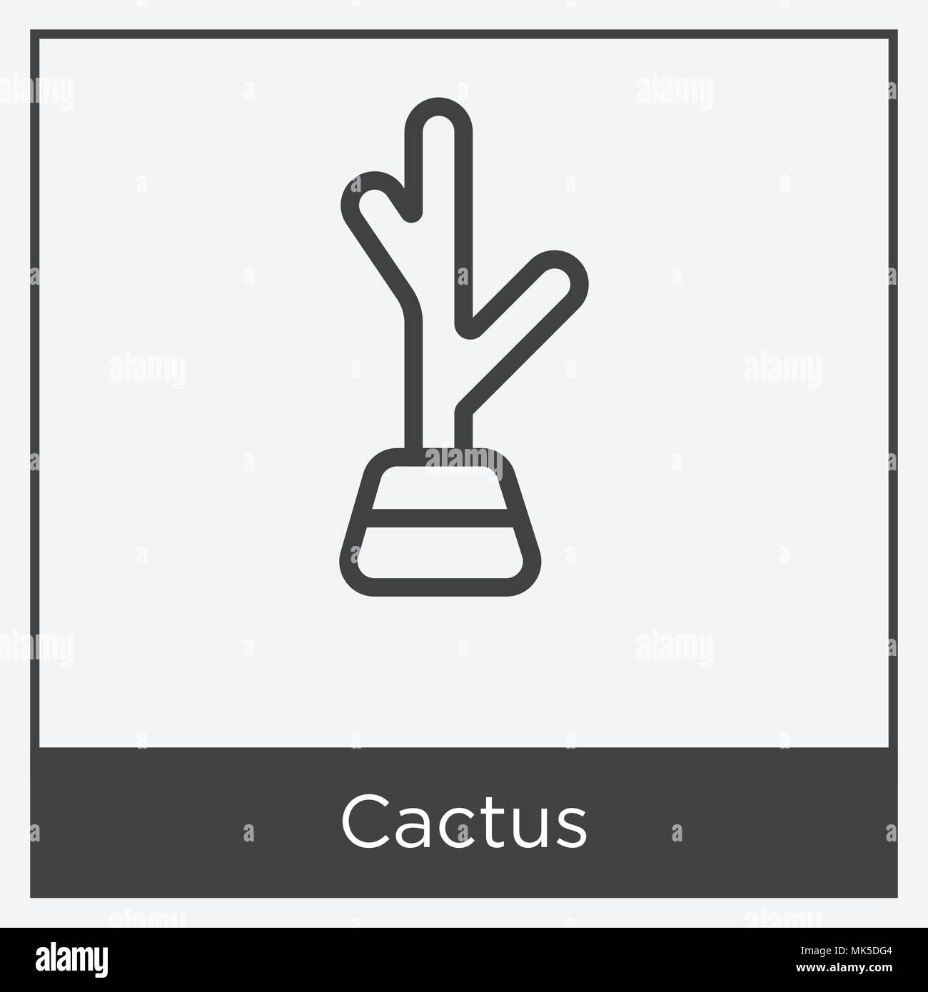 Cactus icon isolated on white background with gray frame, sign and ...