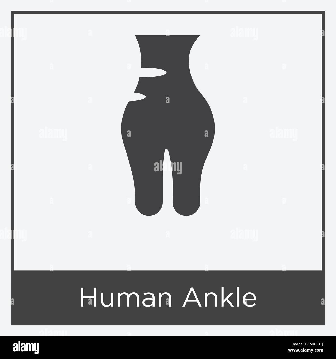 Human Ankle icon isolated on white background with gray frame, sign and ...