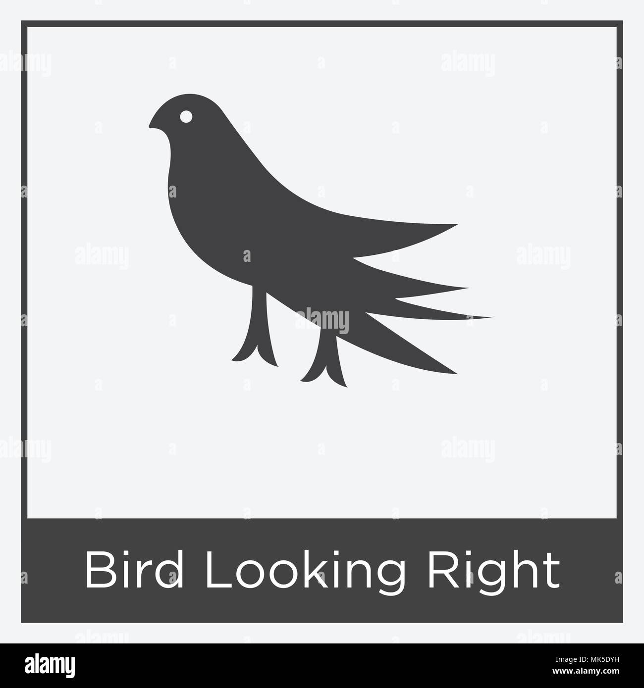 Bird Looking Right icon isolated on white background with gray frame ...