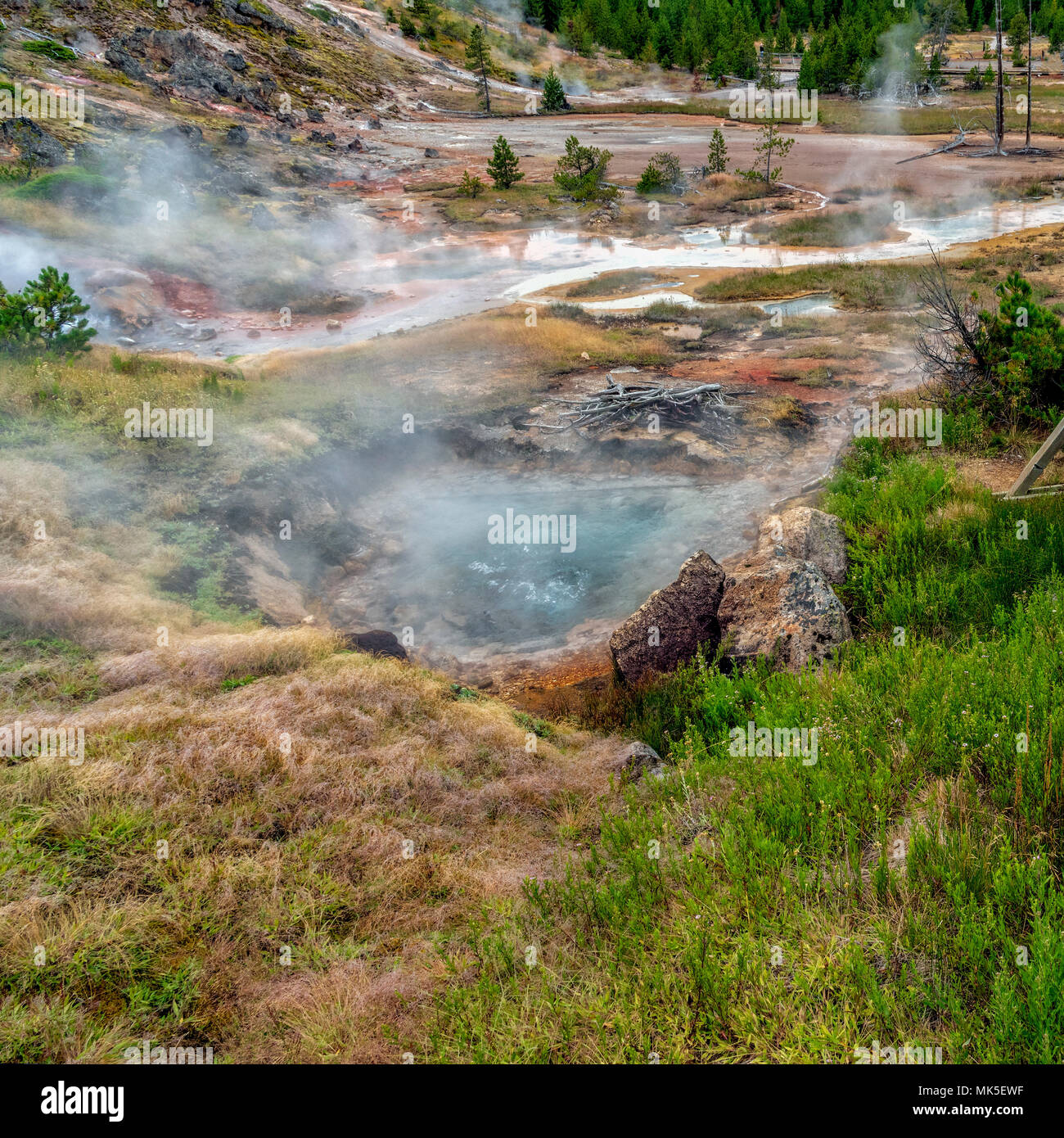 Yellowstone geothermal pools hi-res stock photography and images - Alamy