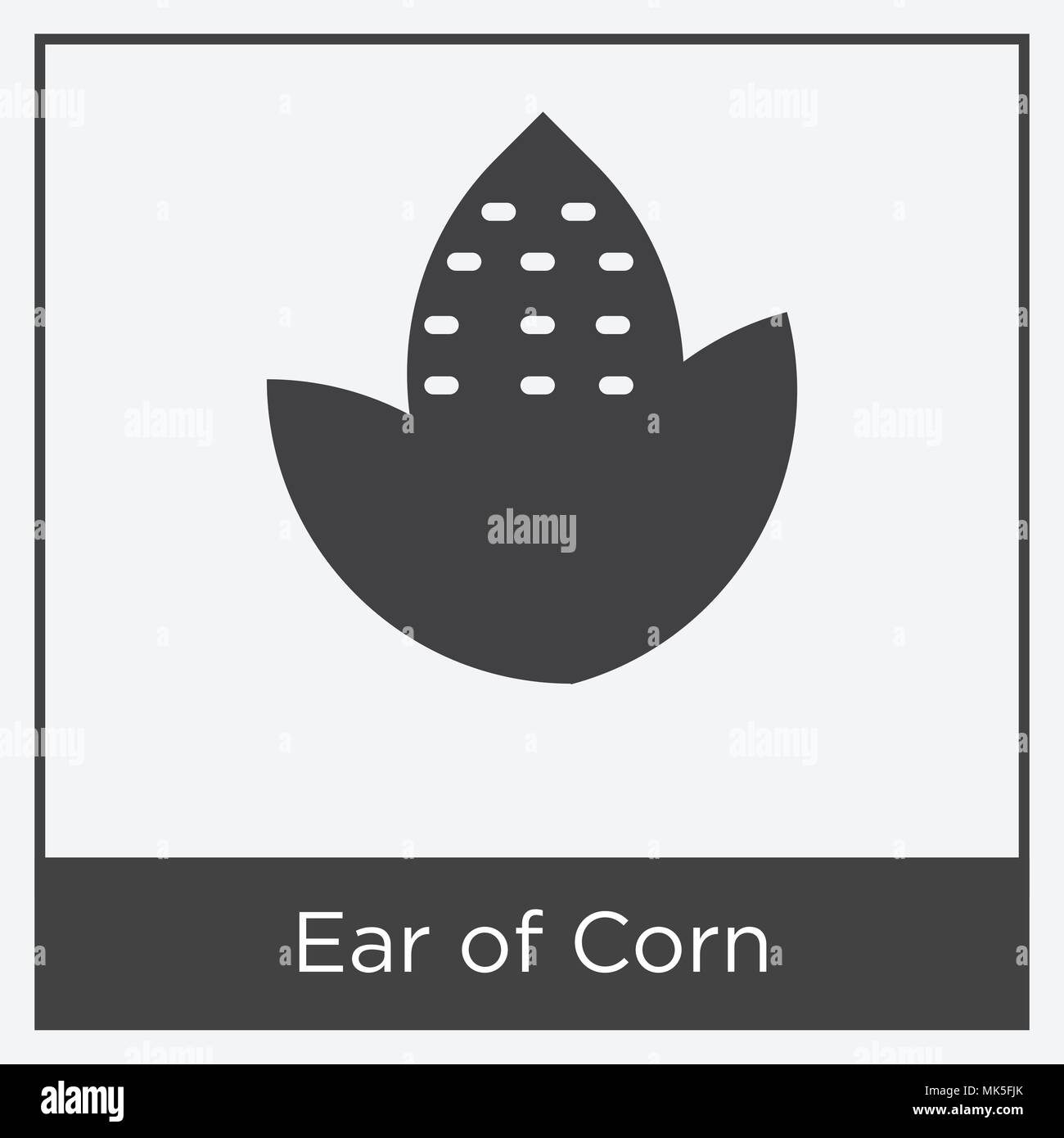 Ear of Corn icon isolated on white background with gray frame, sign and ...