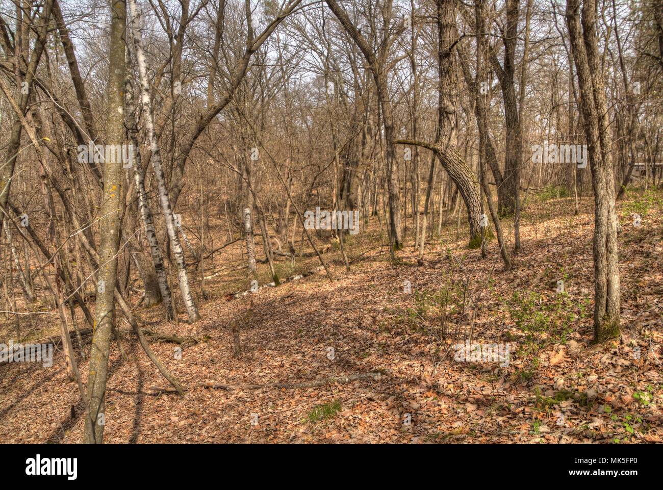 Crow Wing State Park is located in north central Minnesota by the ...