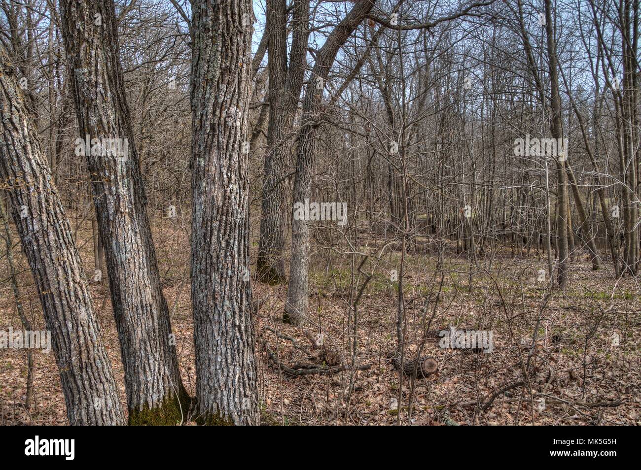 Crow Wing State Park is located in north central Minnesota by the ...