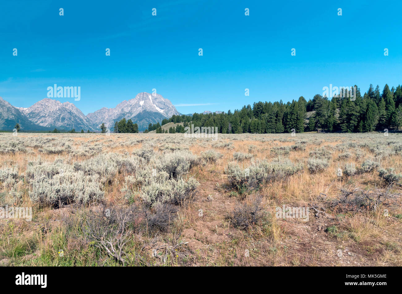 Wide open space hi-res stock photography and images - Alamy