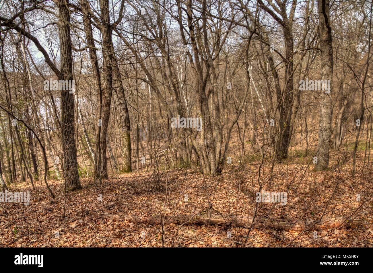 Crow Wing State Park is located in north central Minnesota by the ...