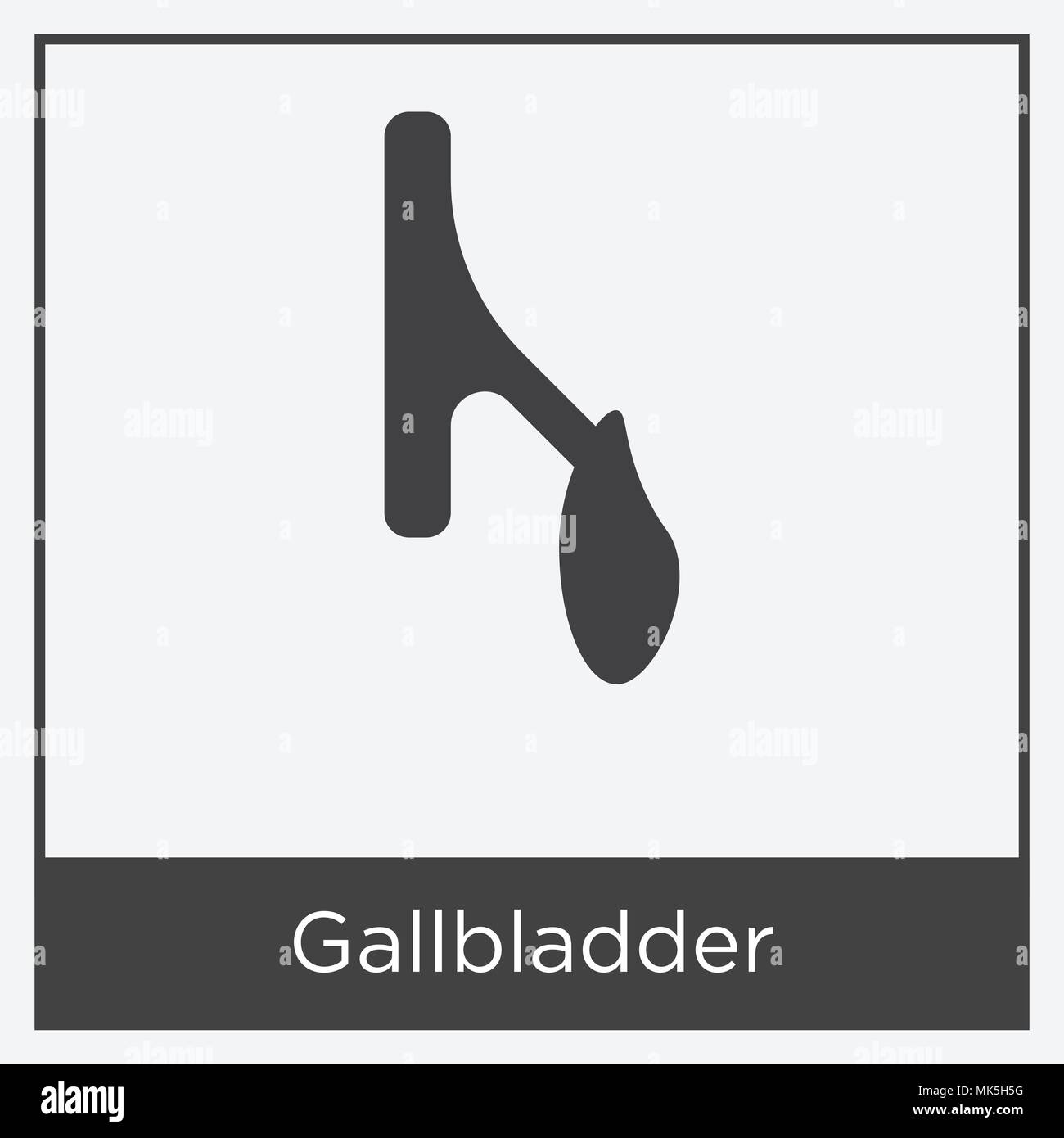 Gallbladder icon isolated on white background with gray frame, sign and ...