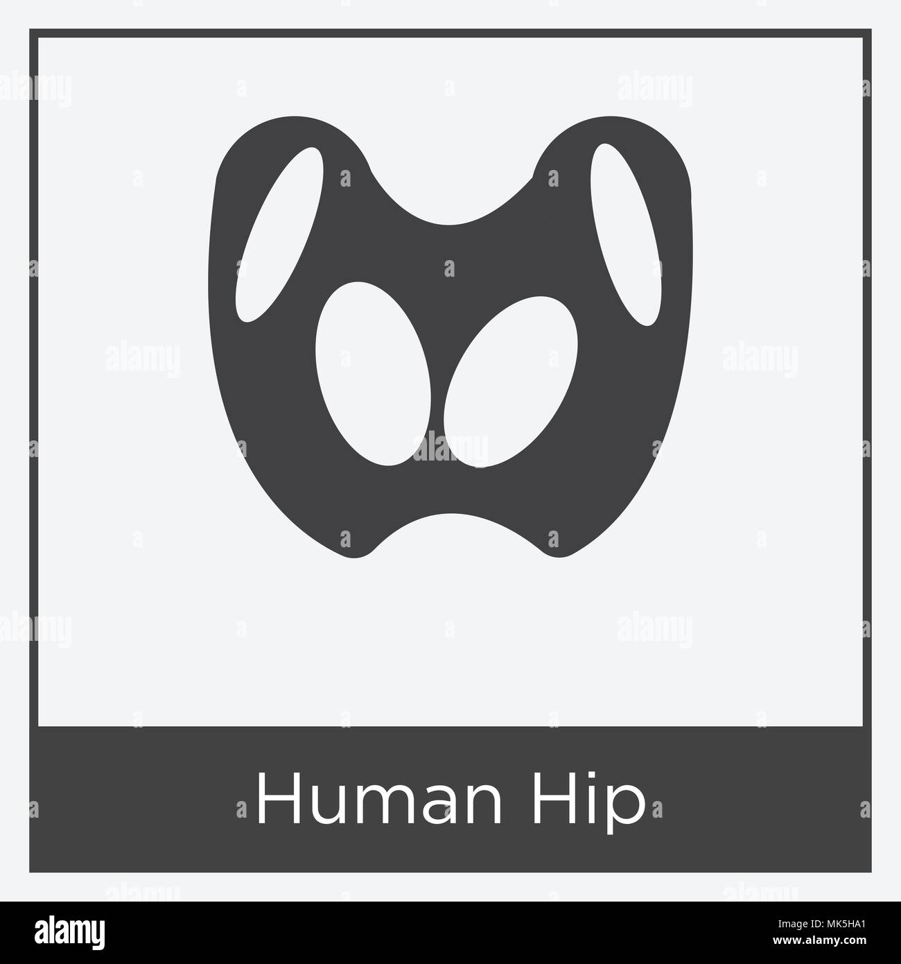 Human Hip icon isolated on white background with gray frame, sign and ...