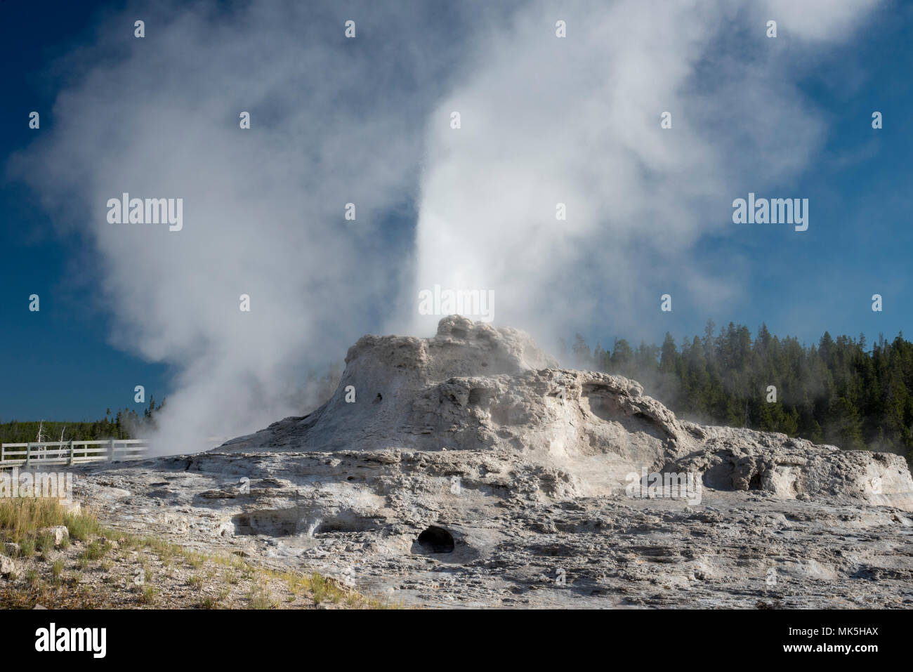 Geothermal geysers erupting with steam rising into air forming steam ...