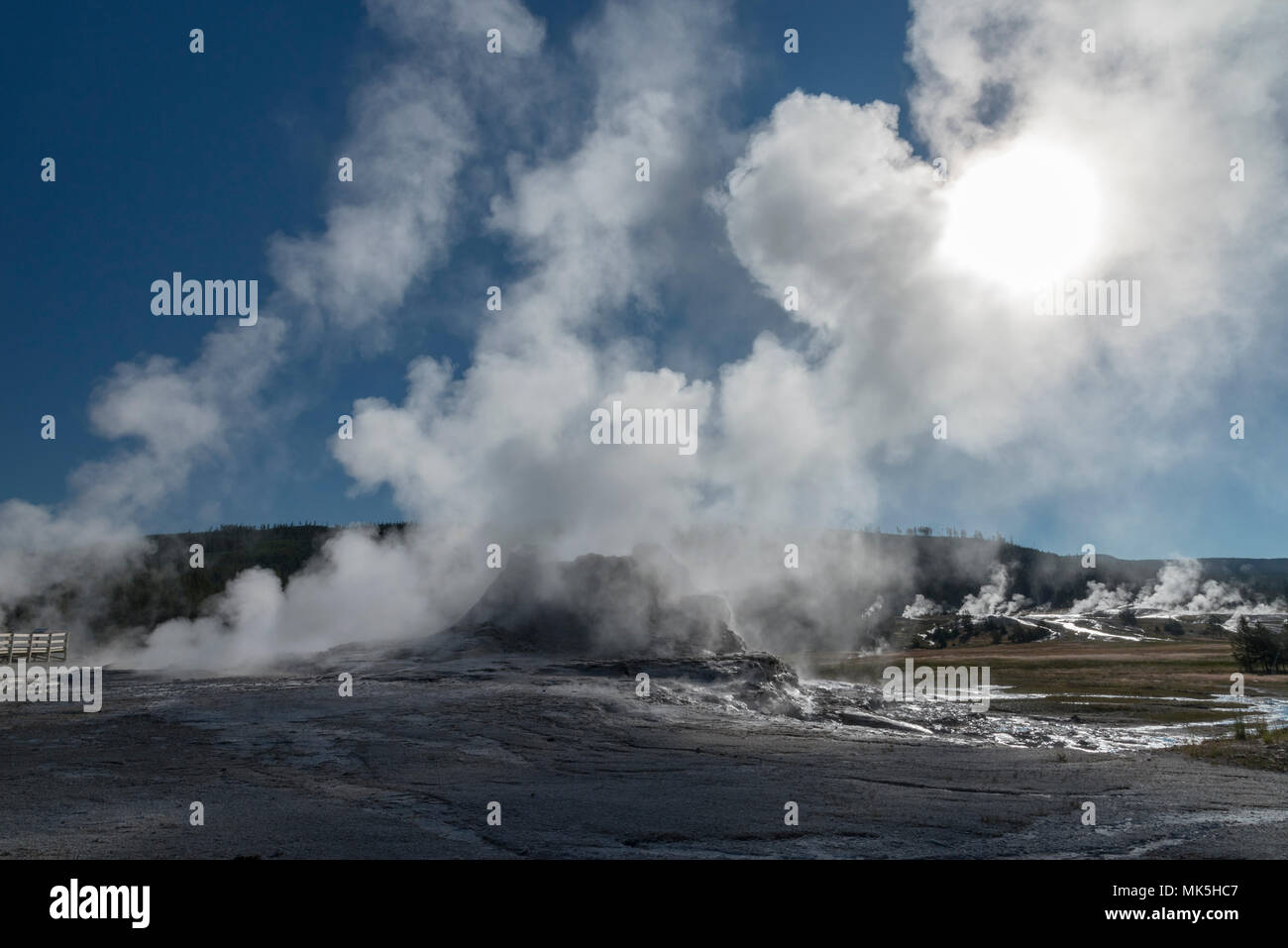 Geothermal geysers erupting with steam rising into air forming steam ...