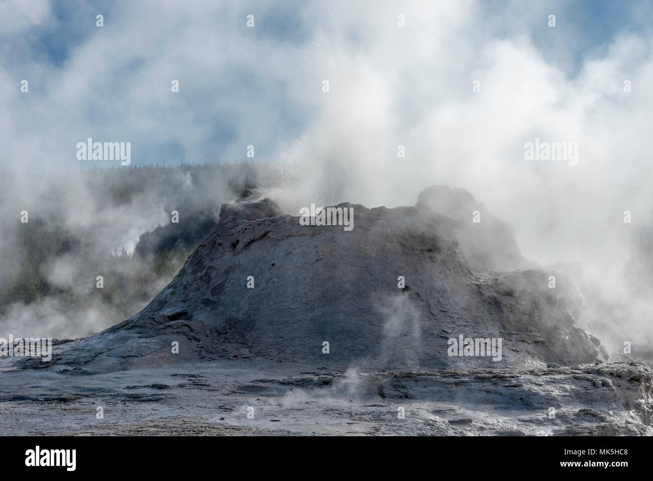 Geothermal geysers erupting with steam rising into air forming steam ...